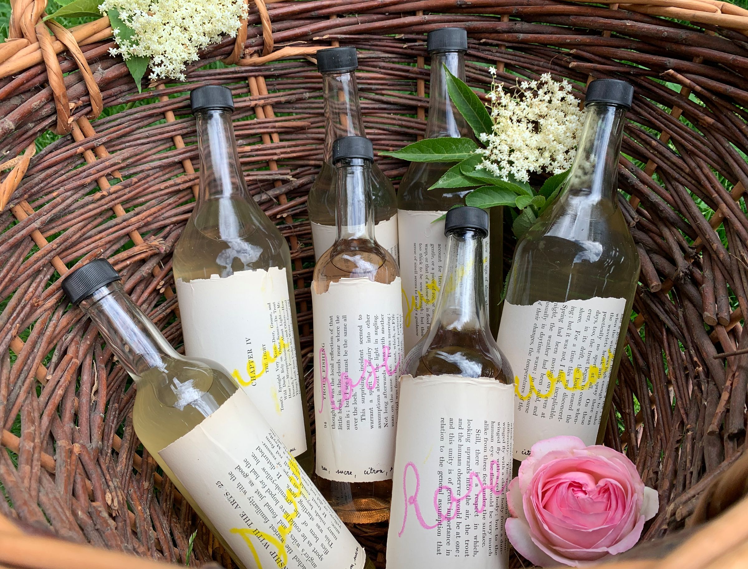 Sirops artisanaux bio à base de plantes médicinales